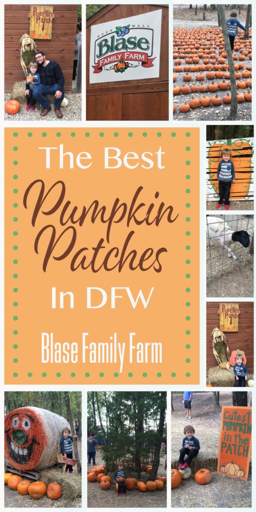 The Best Pumpkin Patches in DFW - A Little Knick a Little Knack
