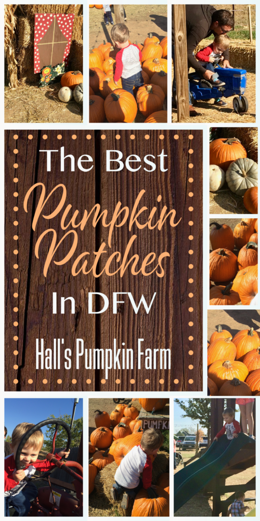 The Best Pumpkin Patches in DFW - A Little Knick a Little Knack